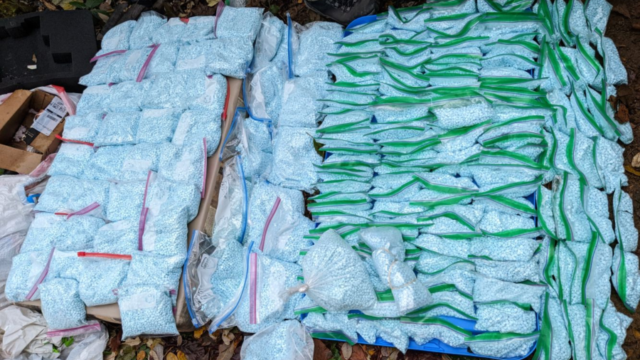 Washington couple ‘at the top of the drug conspiracy pyramid’ sentenced