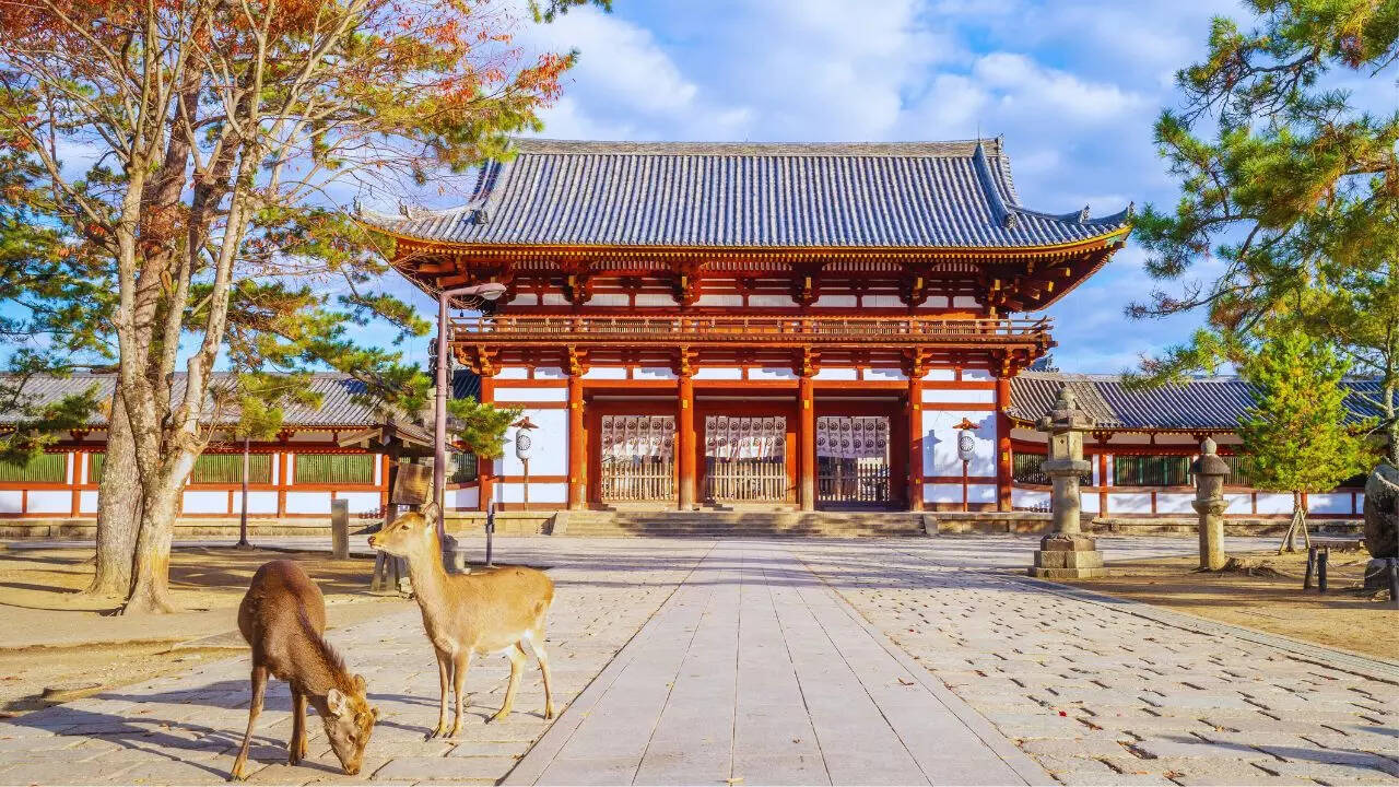 Planning a trip to Japan? Don’t miss these 5 beautiful islands