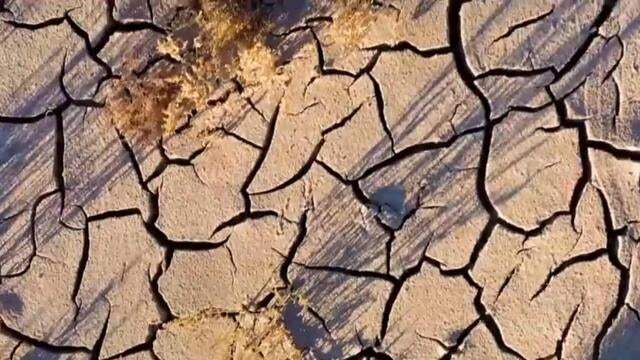Earth has seen some of its worst droughts ever recorded in last two ...