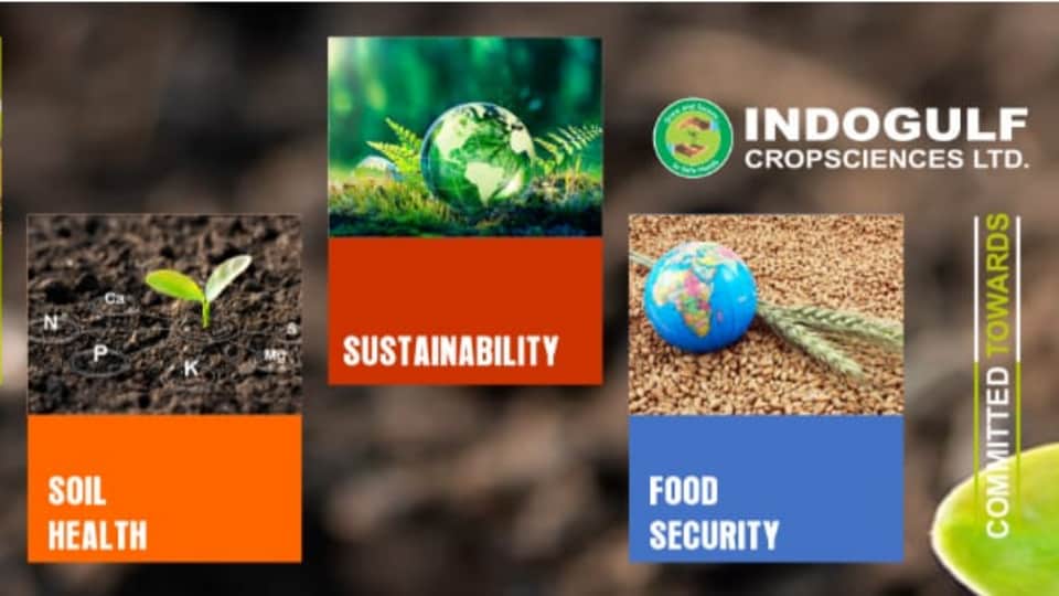 Indogulf Cropsciences IPO listing date today. Latest GMP, experts ...