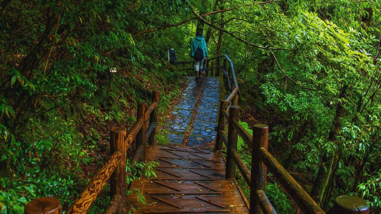Planning a trip to Japan? Don’t miss these 5 beautiful islands