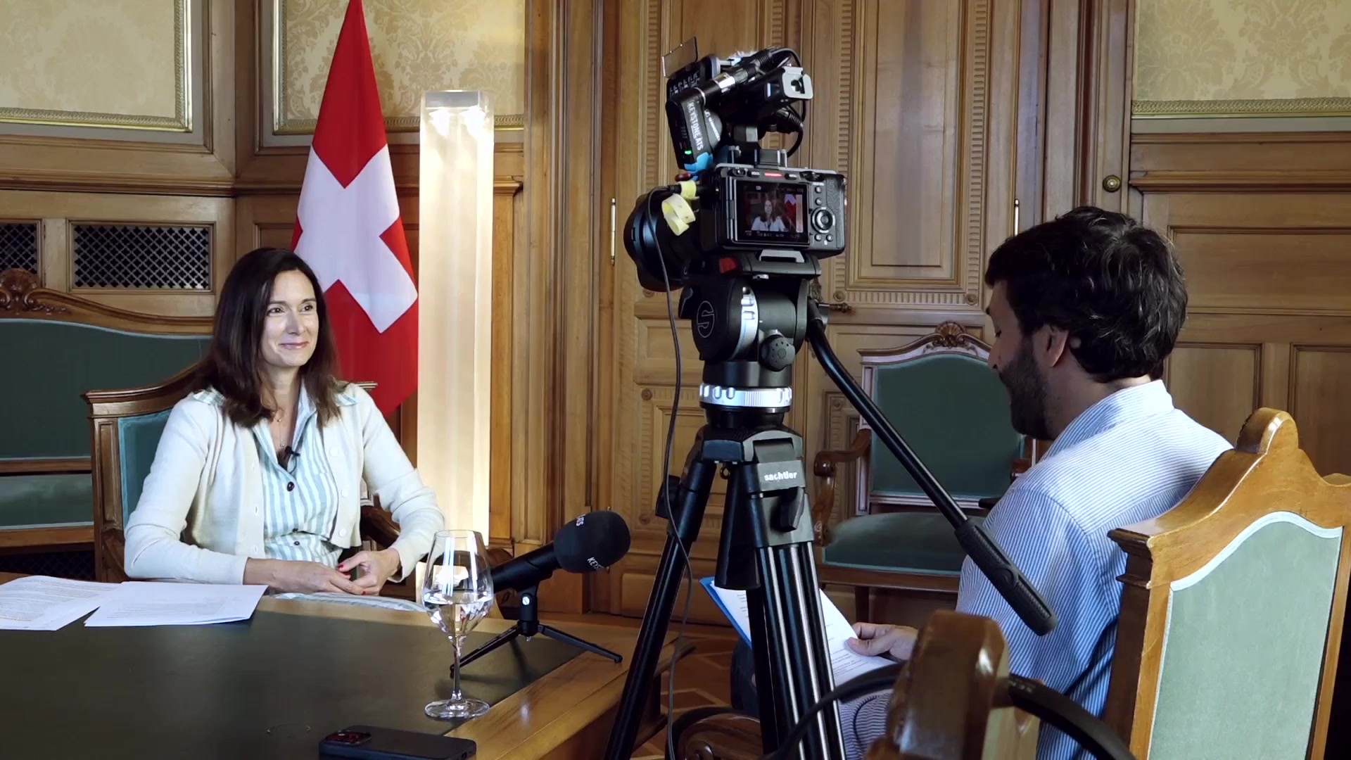 Maja Riniker: "Ich stehe nicht als FDP-Parteipräsidentin zur Verfügung"