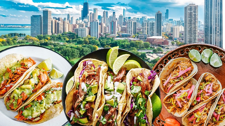 15 Best Tacos You Can Find In Chicago, According To A Former Local