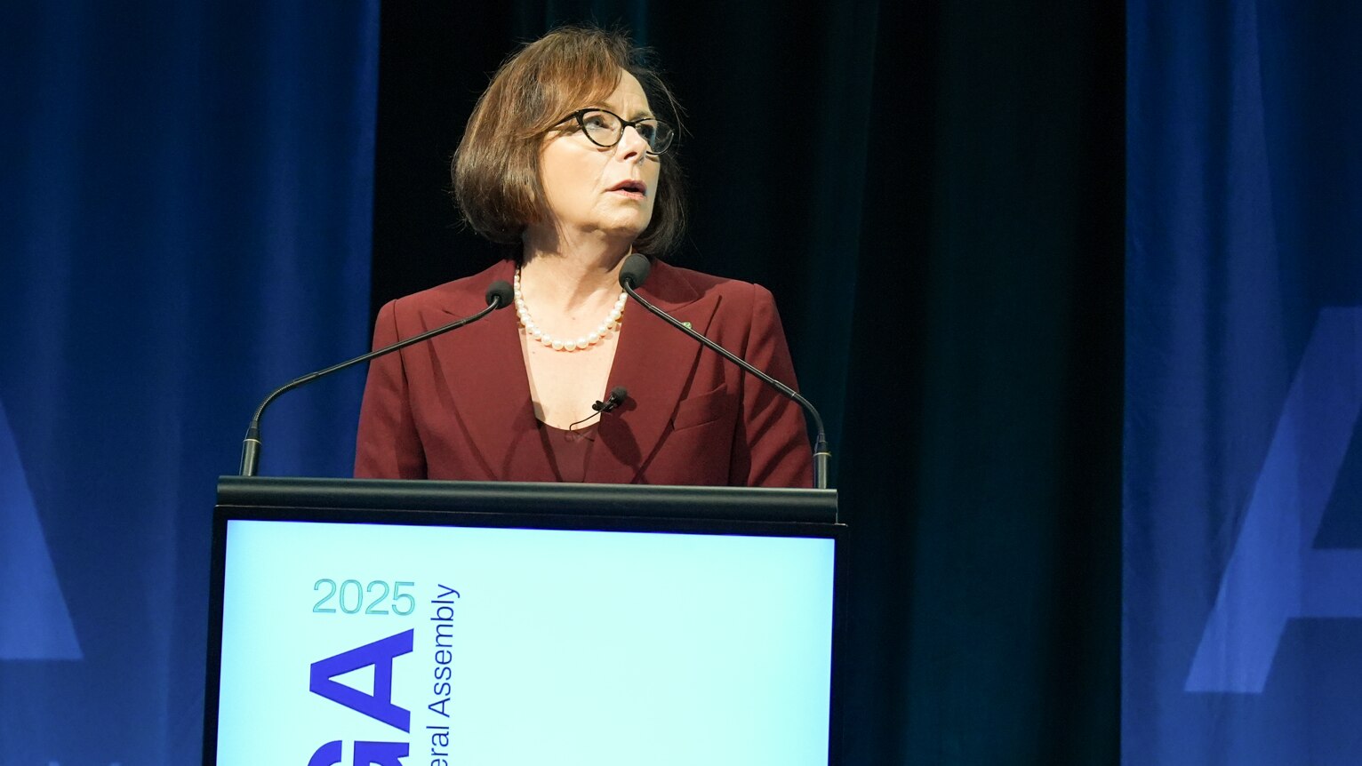 Victorian MP Anne Webster's cultural heritage speech triggers walkout