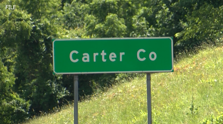 Power outages in Carter County resolved, caused by wildlife activity