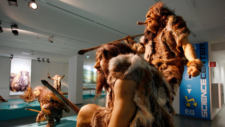 125,000-year-old 'fat factory' run by Neanderthals discovered in Germany