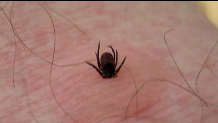 State officials share Lyme disease prevention tips during visit to ...