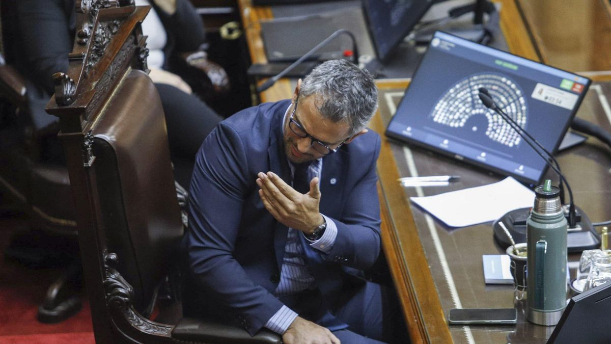 Tensión en el Congreso: LLA amenaza con impugnar a Taiana si el ...