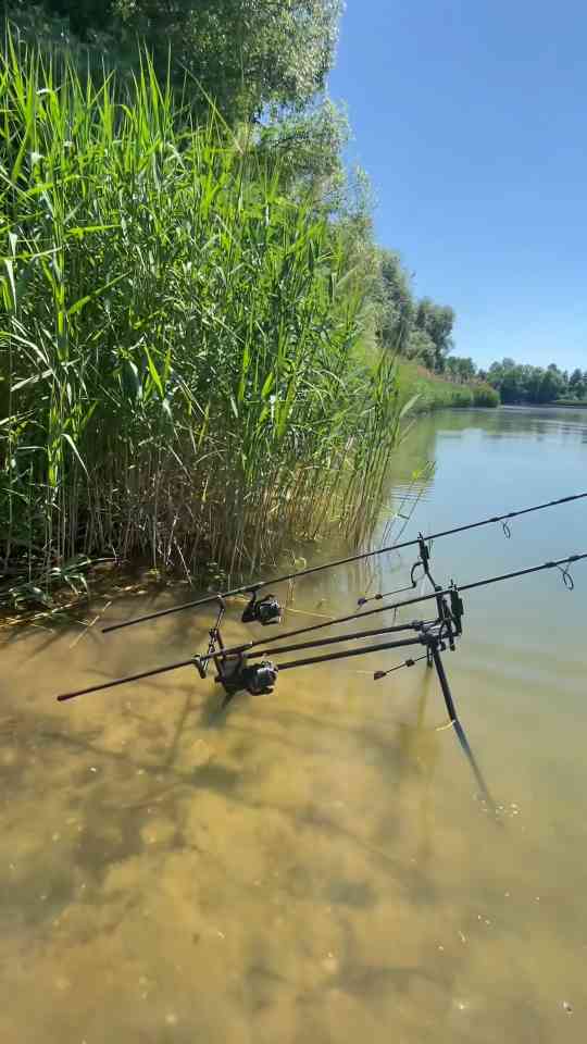 Top Fishing Moments Making Waves on Your Feed