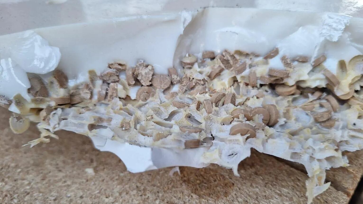 Saudi authorities foil attempt to smuggle tonnes of illegal drugs