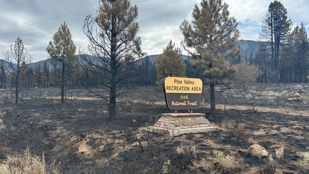 Pine Valley reopens to public after nearly 2 weeks of fire-related closures