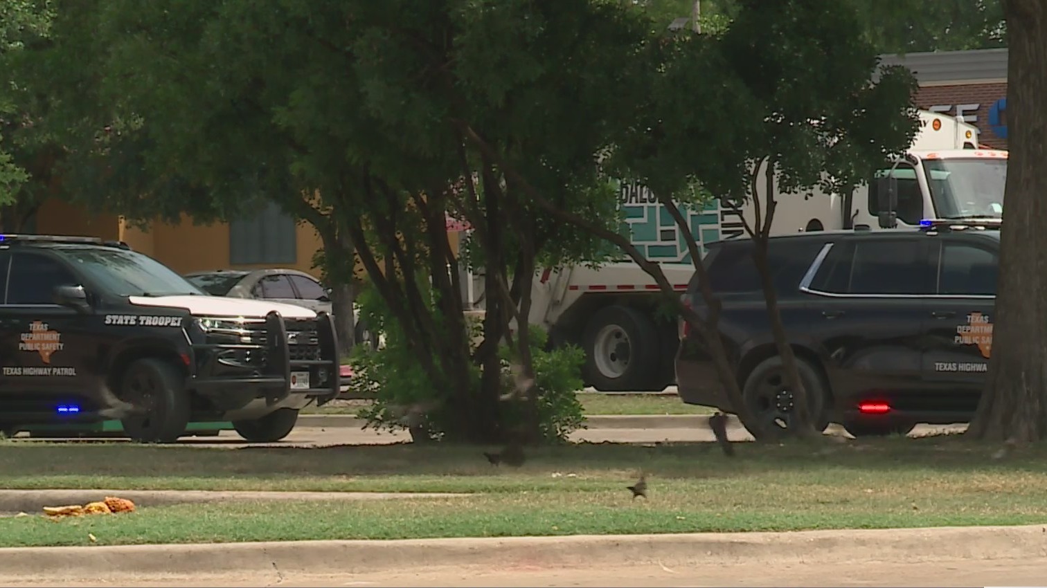 DPS seen helping with ICE operation in north Austin