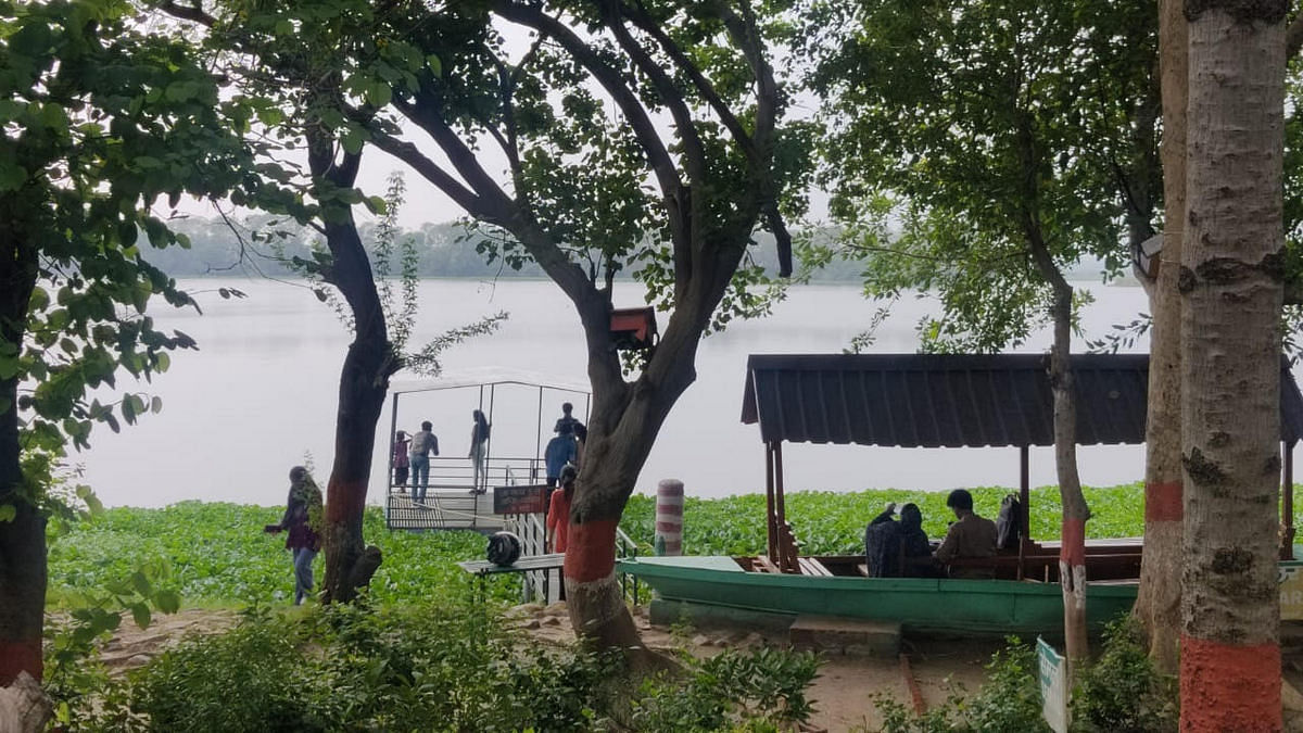 Noida’s Okhla Bird Sanctuary is dying. ‘More a place for lovebirds than ...