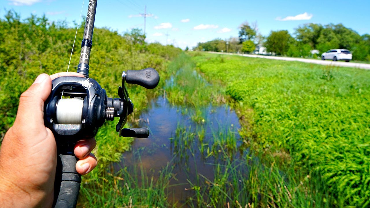 Tiny flooded ditches discovered loaded with fish
