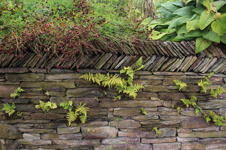 In Praise of Dry Stone Walls, for Permanence and Habitat