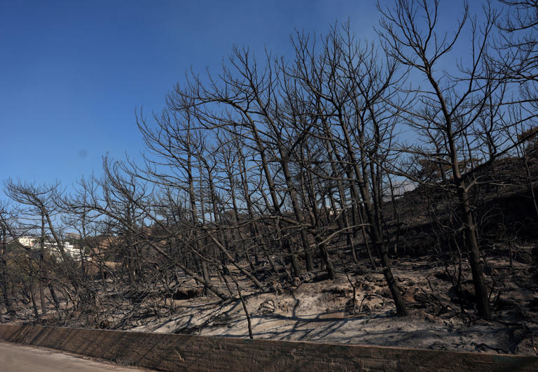 Crete wildfire latest: Tourists and homeowners forced to evacuate as ...
