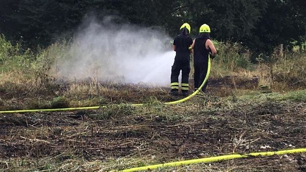 Wiese in Brand – B249 im Unstrut-Hainich-Kreis komplett gesperrt
