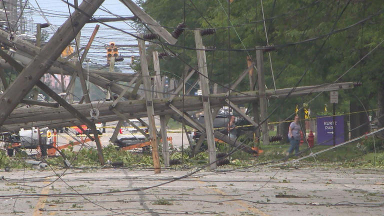Experts break down what causes downed power lines during monsoon, what ...