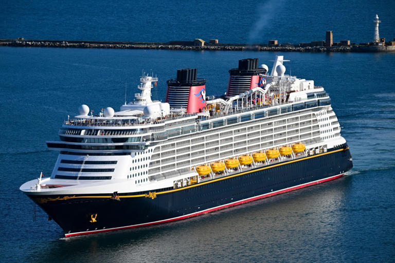 Authorities reveal how young Disney cruise passenger, 5, fell off ship ...