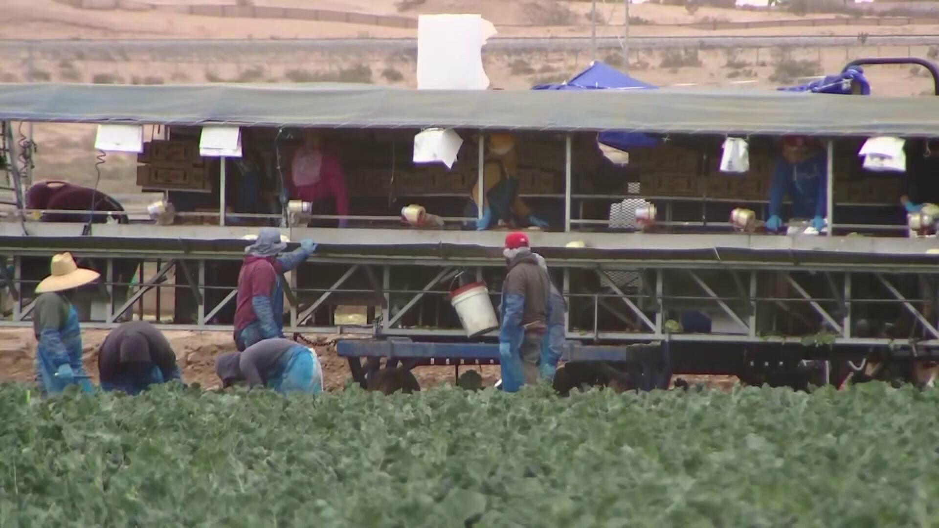 Arizona growers back Trump’s budget plan, but say farm bill is long-overdue