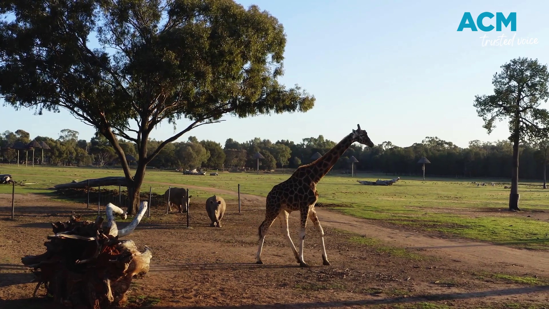 Taronga Western Plains Zoo African animals and site of new development.
