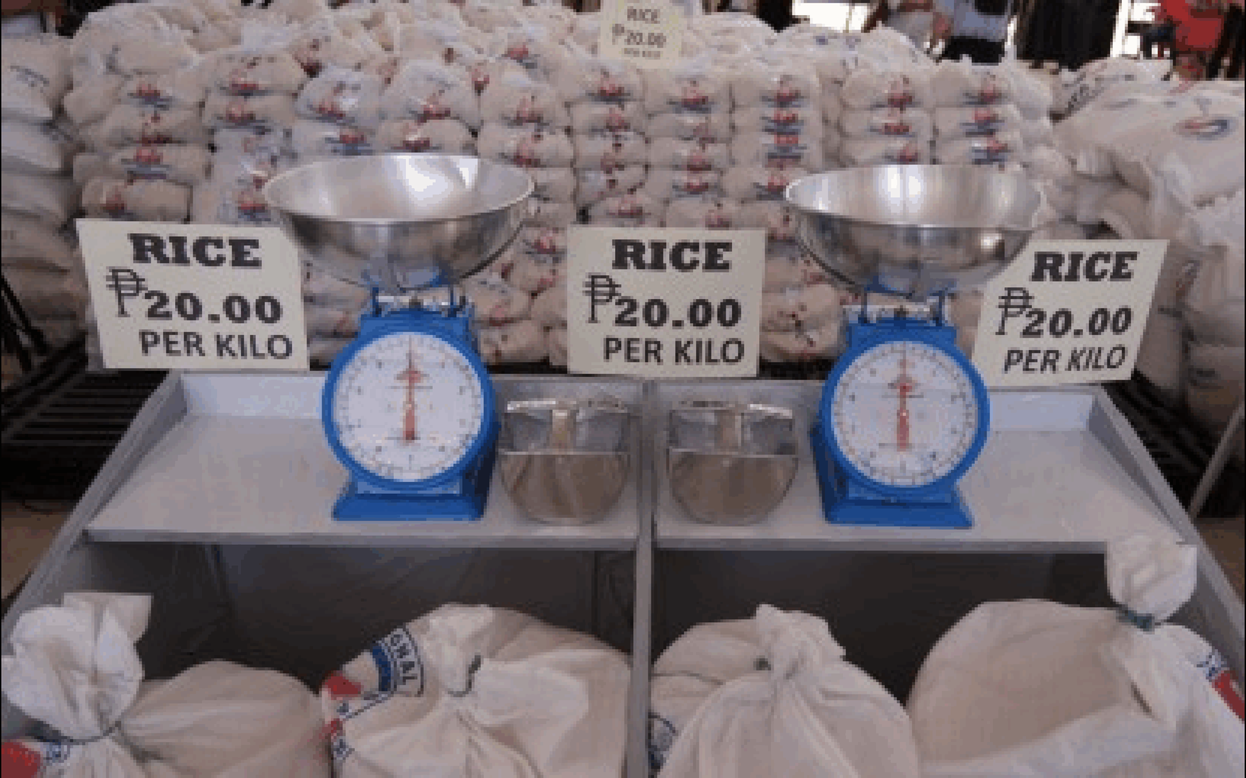 DA opens P20/kilo rice program to rice farmers, farmhands