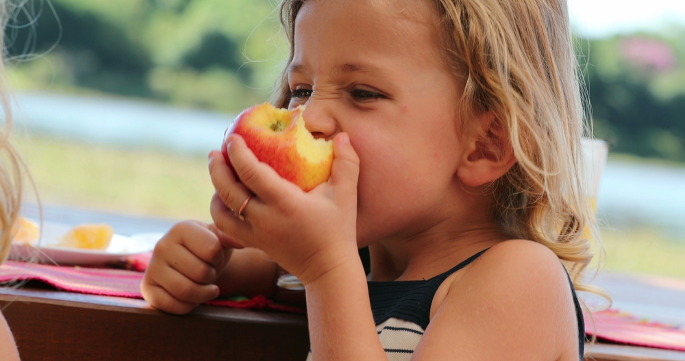 Why apples deserve a place in your daily diet, according to science