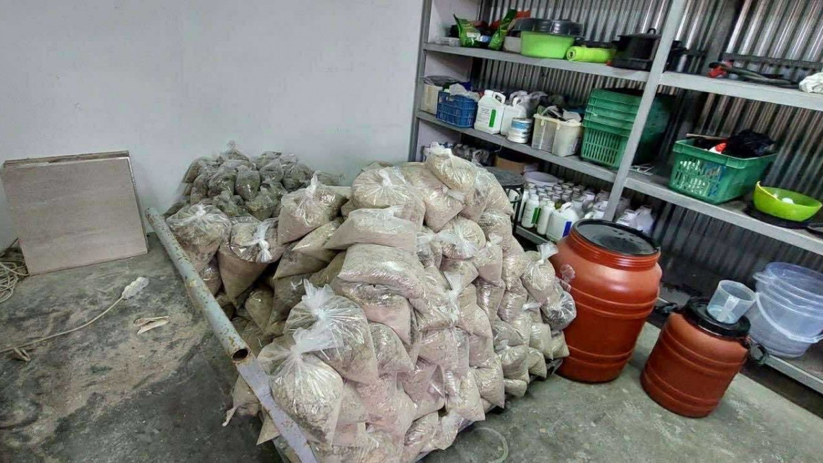 Επιχείρηση της ΕΛ.ΑΣ για εργοστάσιο παρασκευής κοκαΐνης στα νότια ...