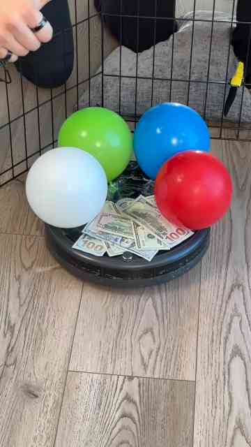 Roomba Roulette: Family Quest for the Jackpot