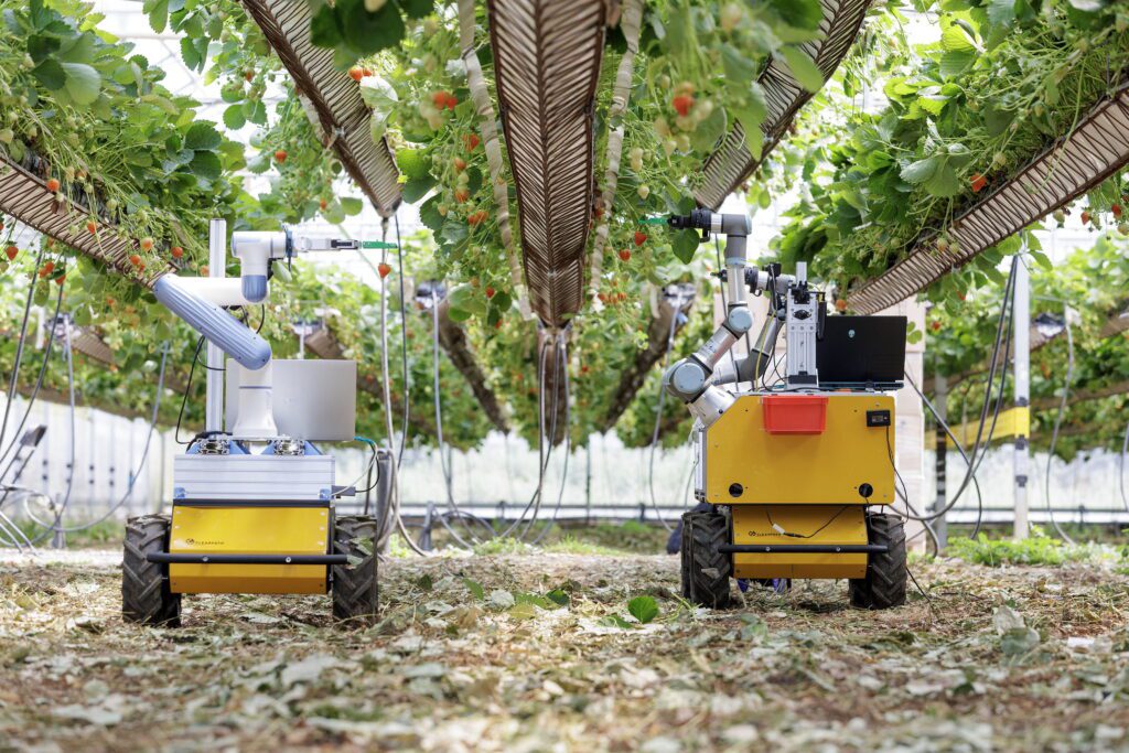 Strawberry-picking robots trialled by royal jam makers