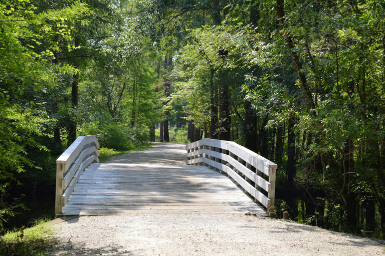 First in freedom: How this Pender County battle paved the way for NC's ...