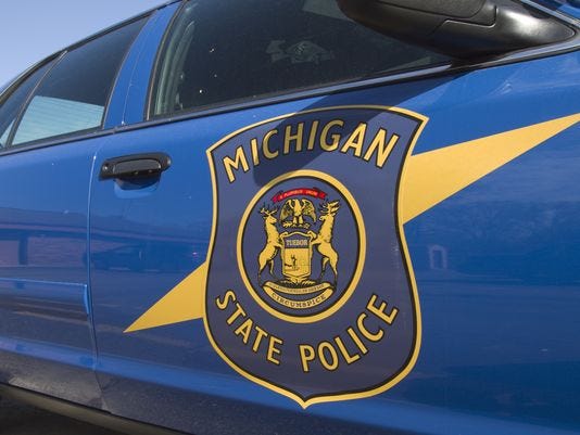 Michigan State Police want Michiganders to vote for the 'Blue Goose'