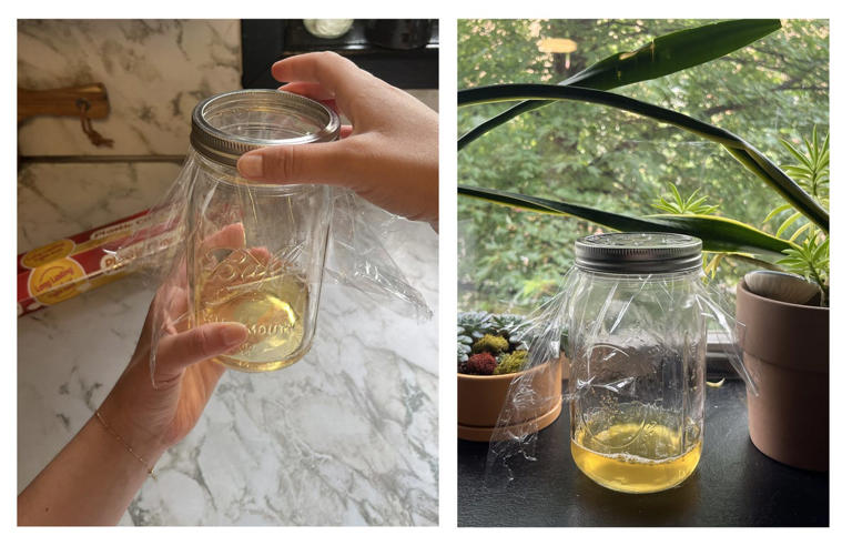 I tried 4 home-made fly traps — here’s what worked