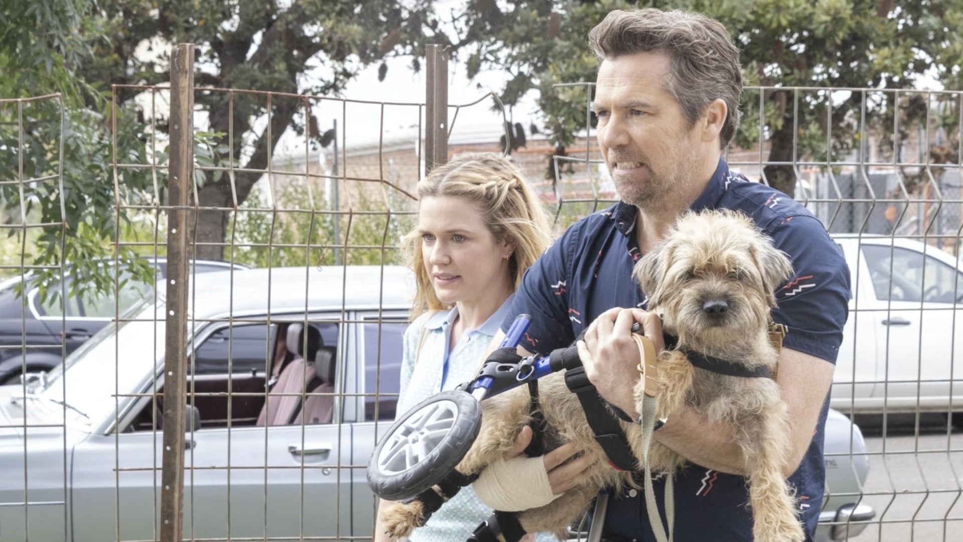 The 25 best shows on Paramount Plus to watch right now