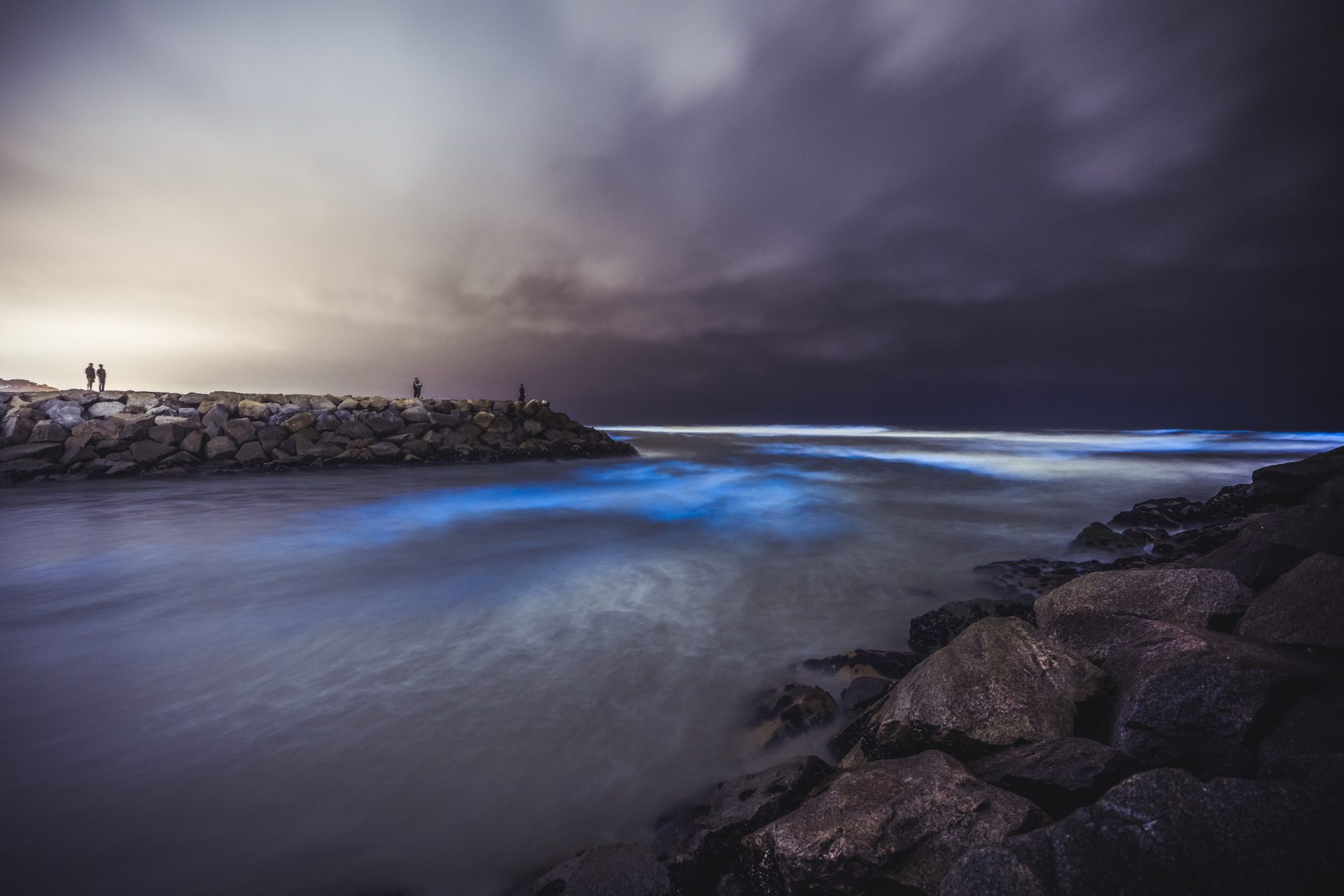 Beaches that light up as if by magic