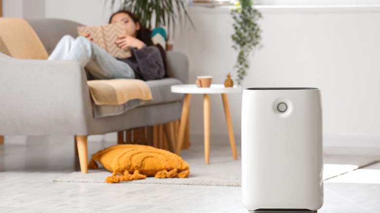 13 Clever Deodorizing Hacks For A Fresh-Smelling Living Room