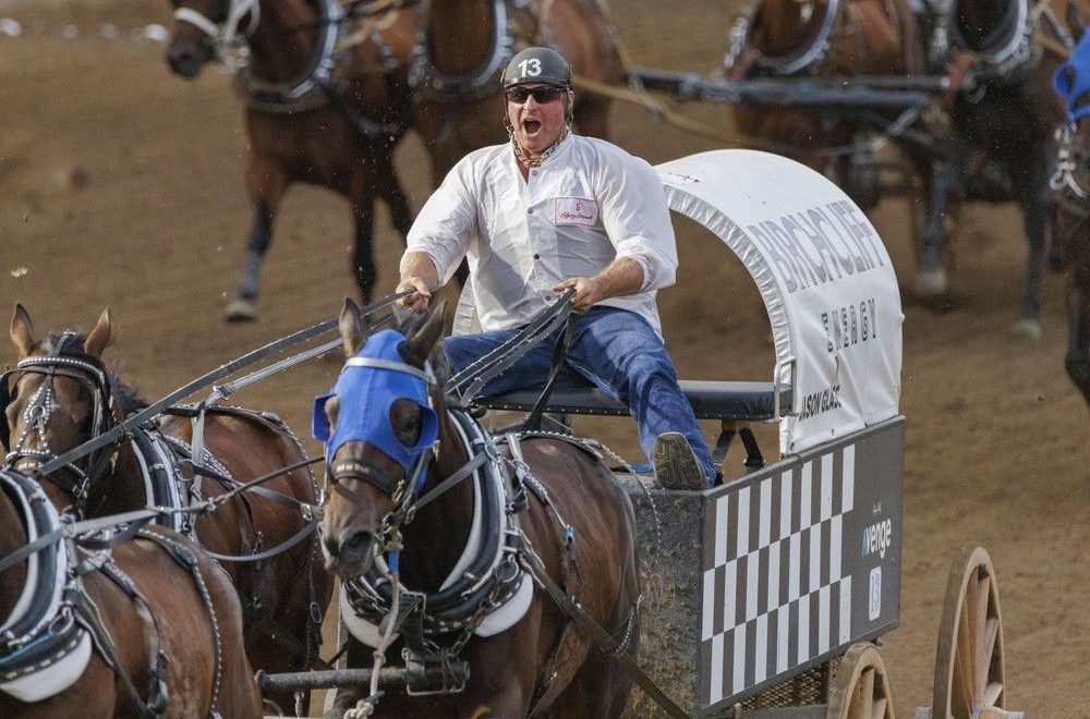 Rangeland Derby daily results and money: Plus, the ultimate chuckwagon ...