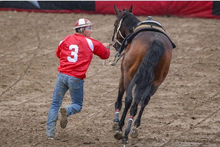 Rangeland Derby daily results and money: Plus, the ultimate chuckwagon ...