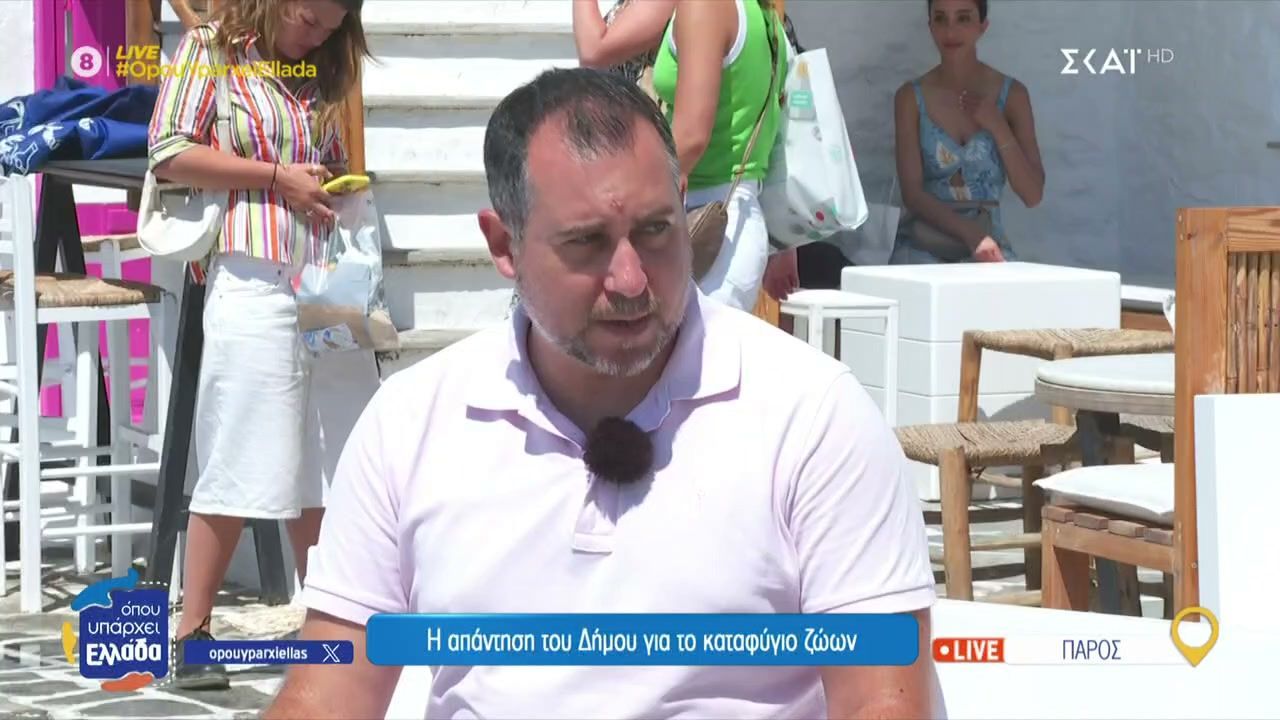 Πάρος: Η απάντηση του Δήμου για το καταφύγιο ζώων