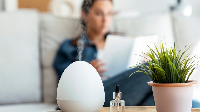 13 Clever Deodorizing Hacks For A Fresh-Smelling Living Room