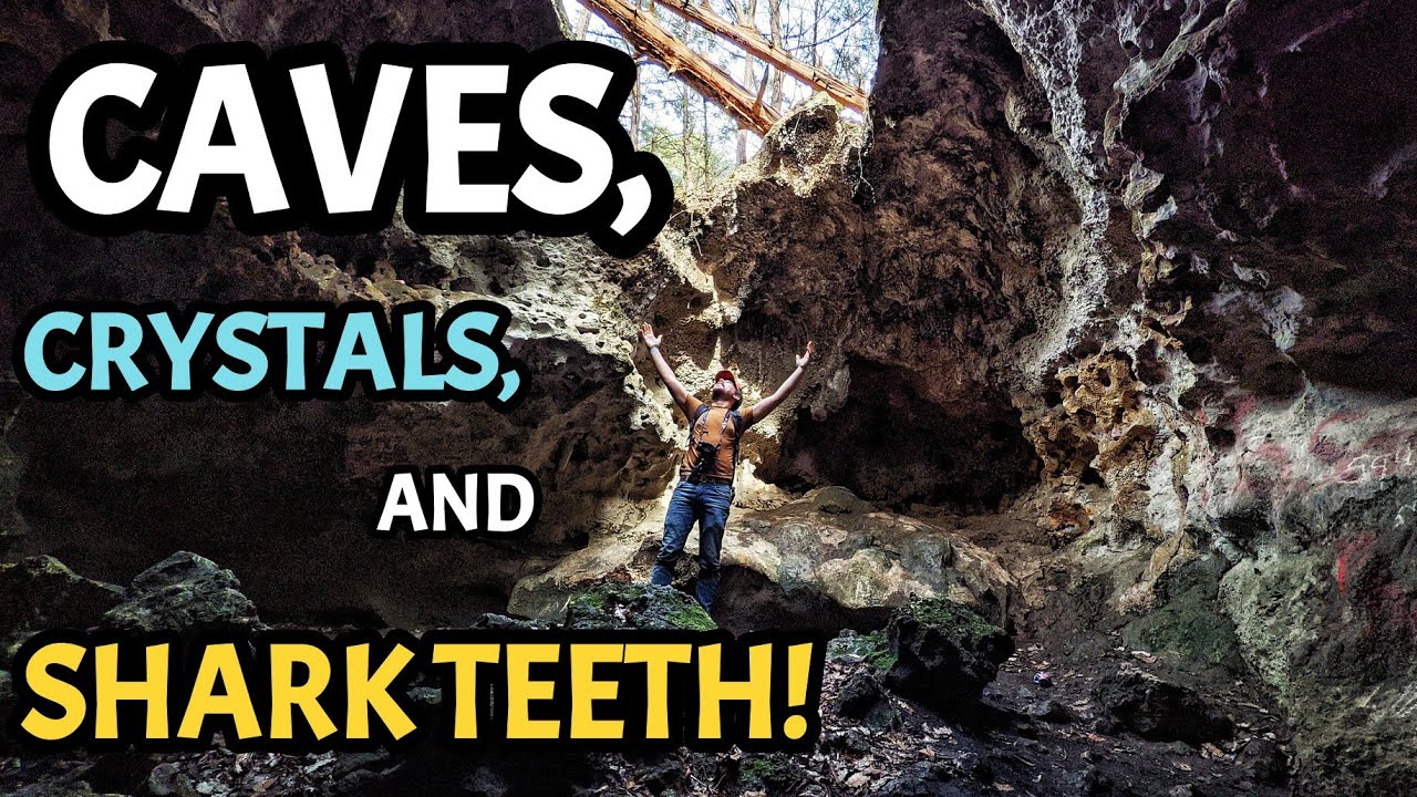 Hidden Cave & Giant Rock Piles Yield Incredible Shark Teeth and Crystal ...