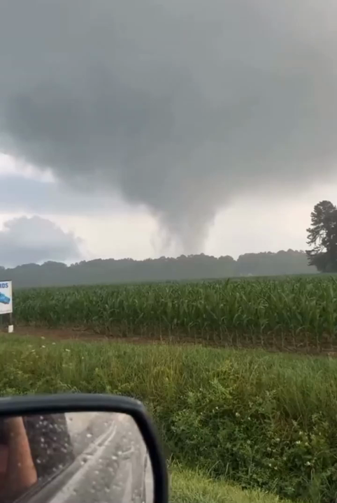 VS: Tornado waargenomen die door een maïsveld trekt in Omar, Delaware, VS