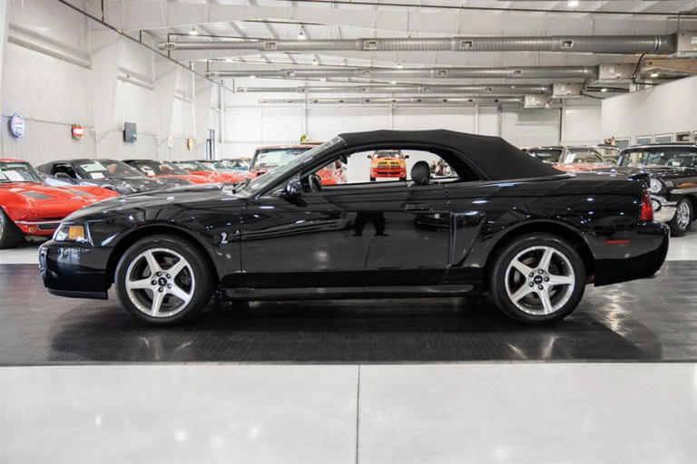 Five Ford Convertibles That Are Dressed to Impress