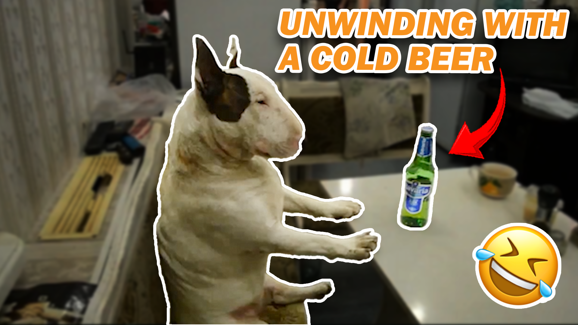 Funniest Dog Video Ever – You Won’t Stop Laughing! 🐶😂