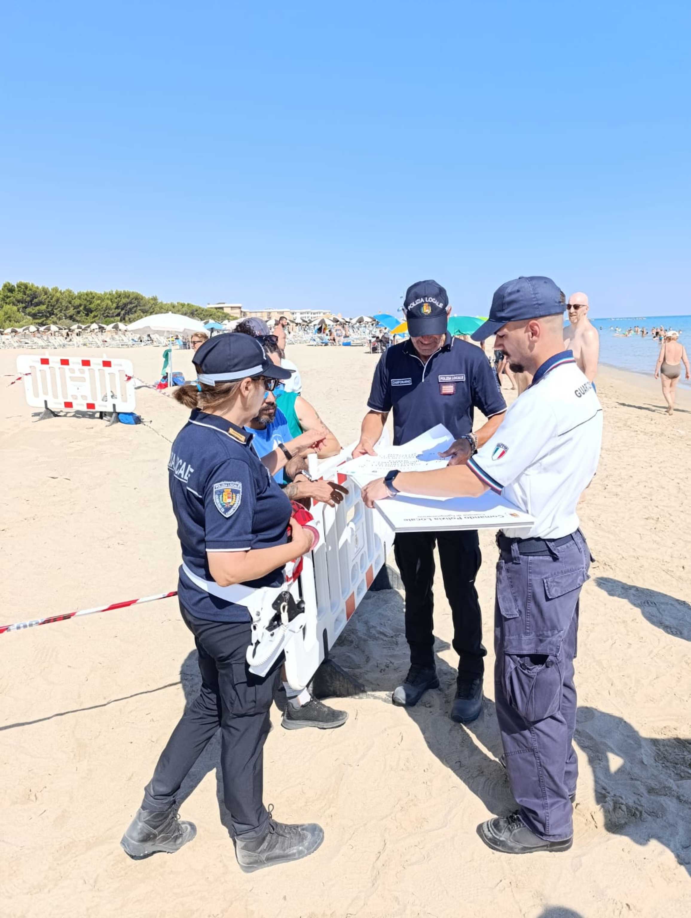Caretta Caretta depone uova sulla spiaggia di Campomarino