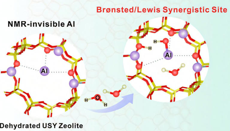 Water activates hidden aluminum sites to enhance zeolite catalysis