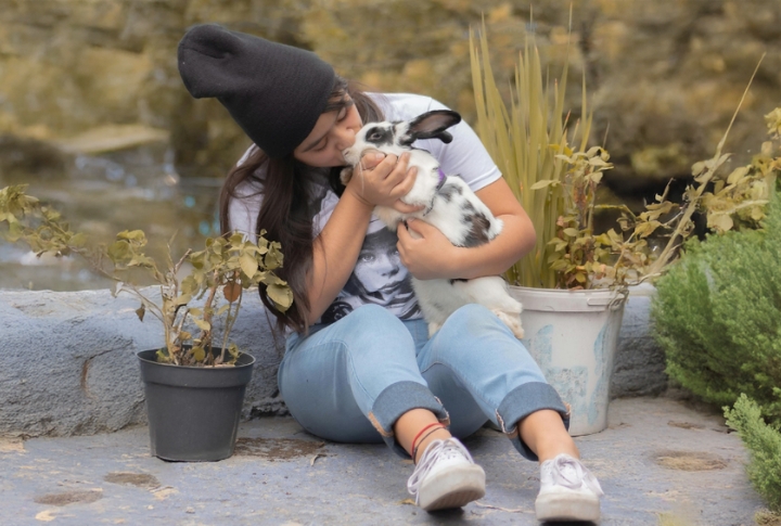 10 Facts That Shape Bunny Lifespans