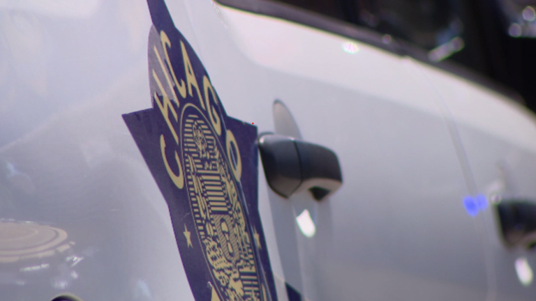 Chicago police search for armed robbers hitting Washington Park, West ...