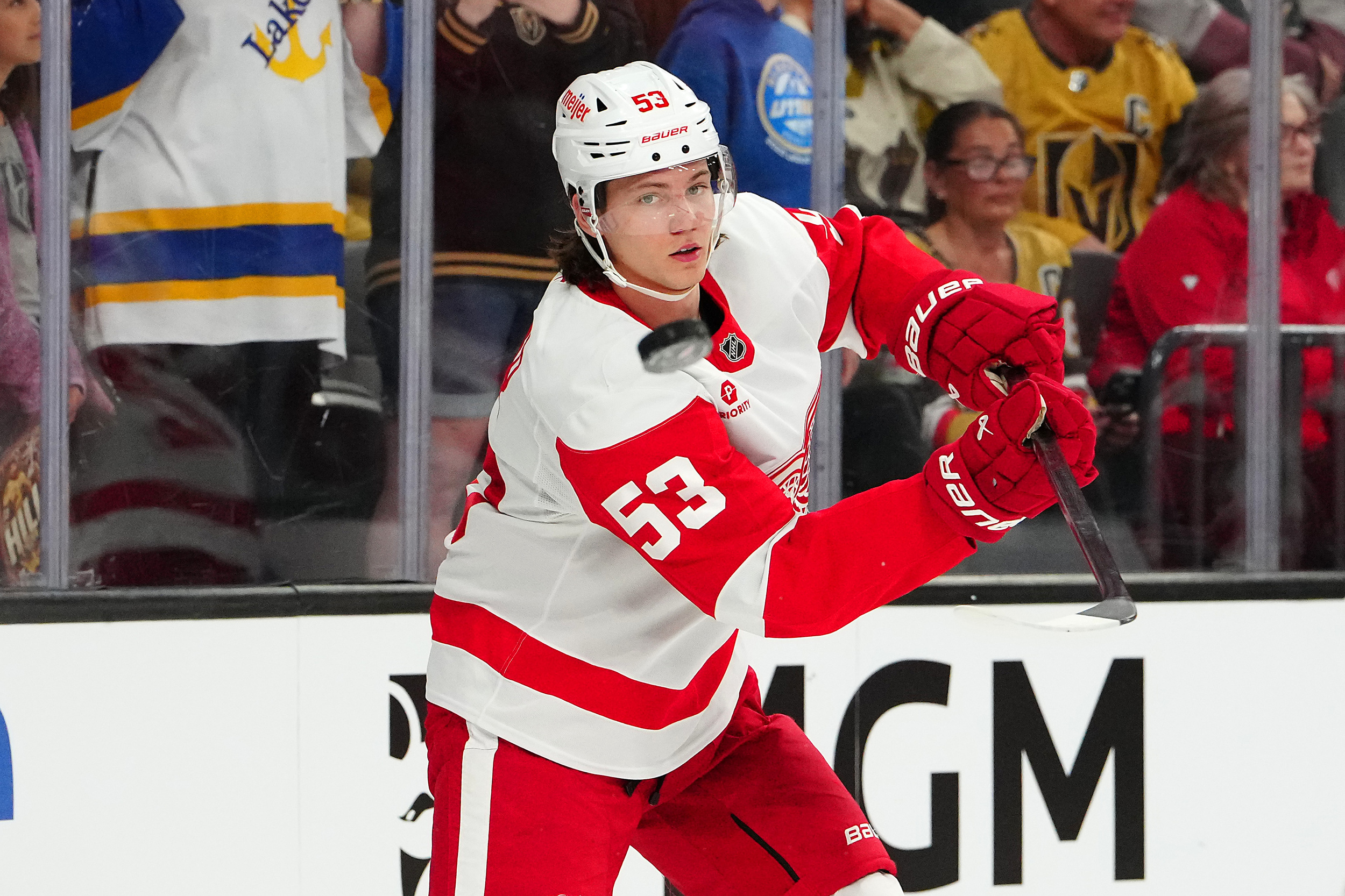Red Wings 2025-26 roster projection 1.0