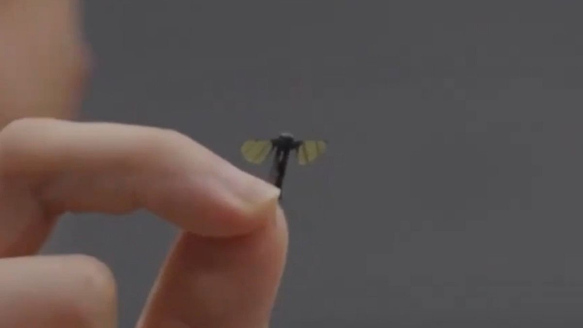 It looks like a mosquito, flies like one. It’s China’s newest micro ...